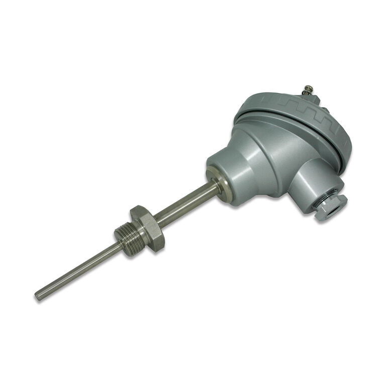 PCT PT100 RTD with Terminal Head and Instrument Connection pt500