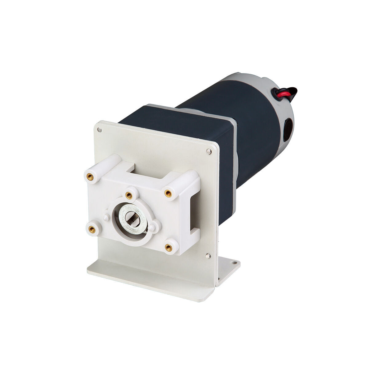 Longer 80 Series Fixed Speed OEM Peristaltic Pump - PCT